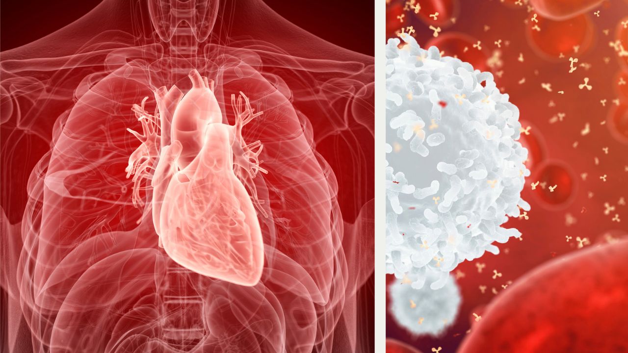 Opportunities of molecular imaging and cardiovascularity | TRACER