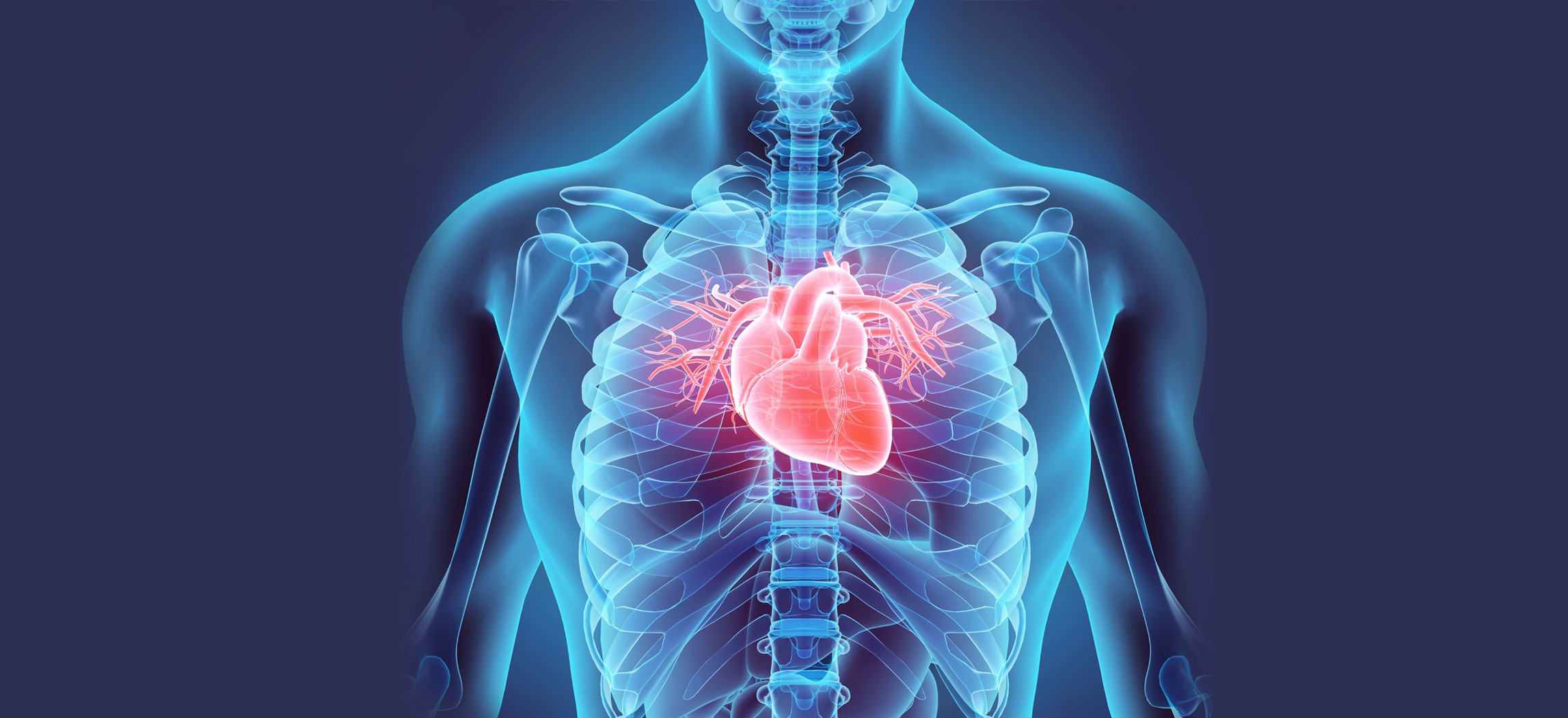 Opportunities of molecular imaging and cardiovascularity | TRACER