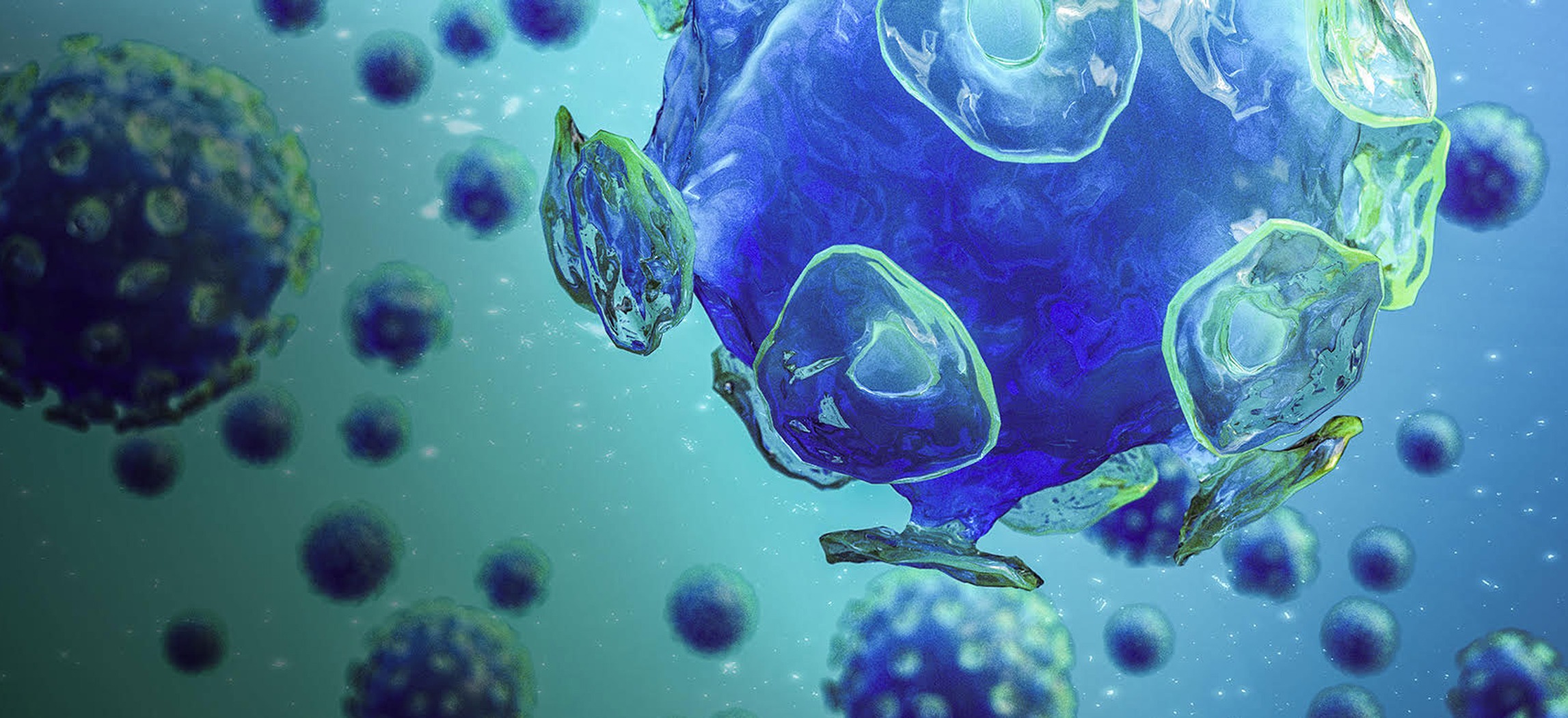 Our optical imaging expertise in Infectious diseases | TRACER