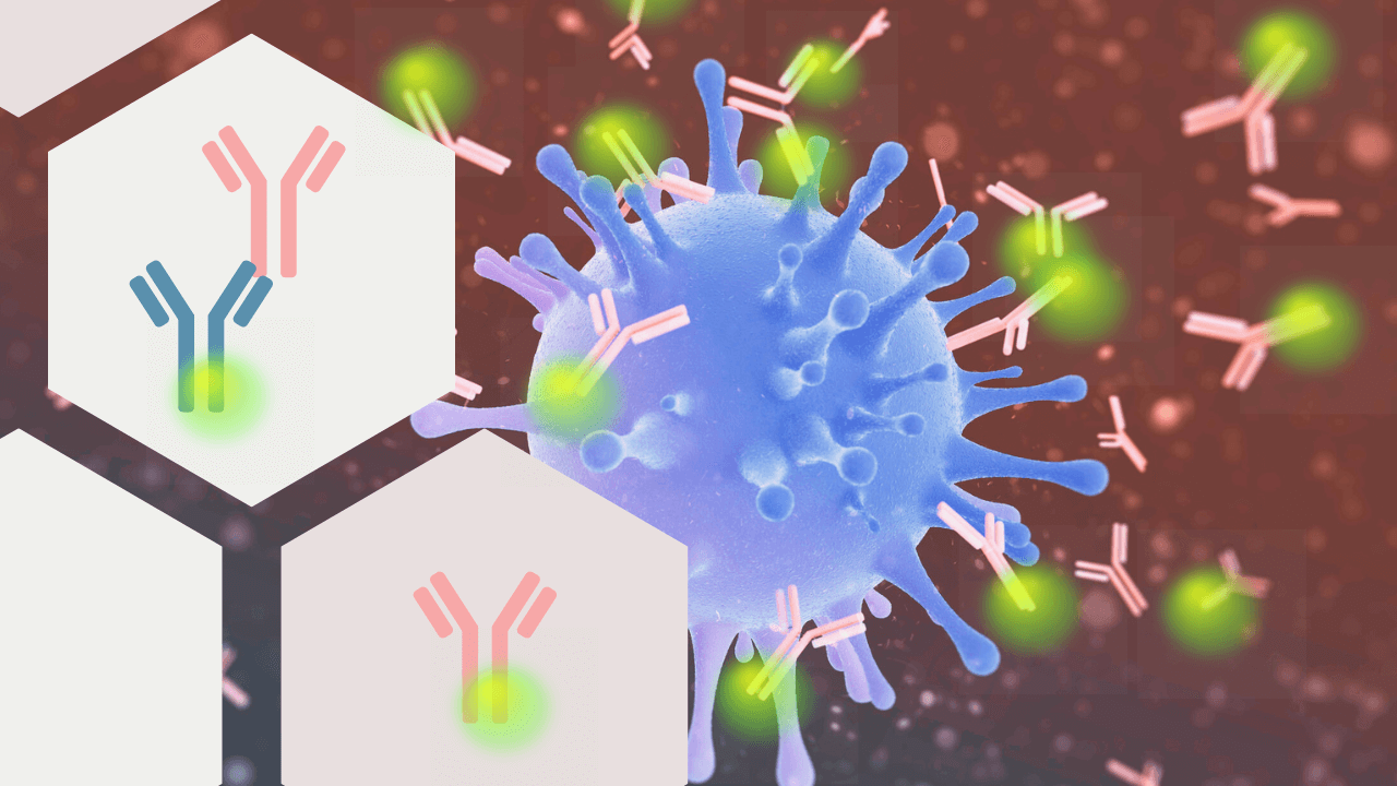 What are the 2 methods for labelling antibodies? | TRACER