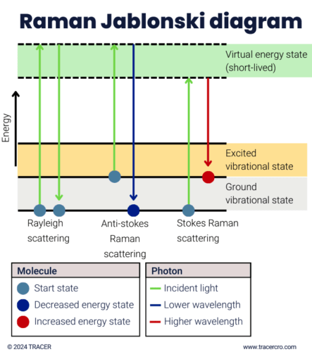 Raman Spectroscopy & Microscopy | Fastest CRO | TRACER