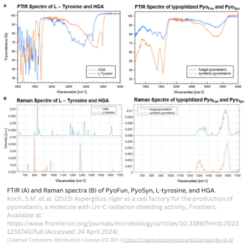 Raman Spectroscopy & Microscopy | Fastest CRO | TRACER