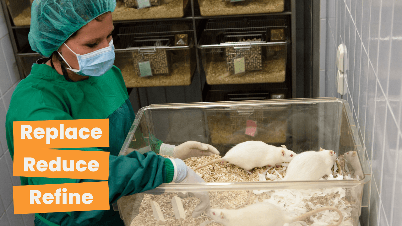Exploring 3R Animal Research: TRACER’s Innovative Approach